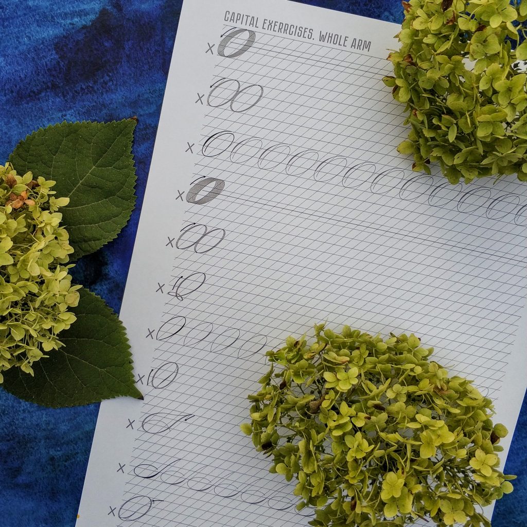 Spencerian Capital letters for Beginners 5mm - Crealandia