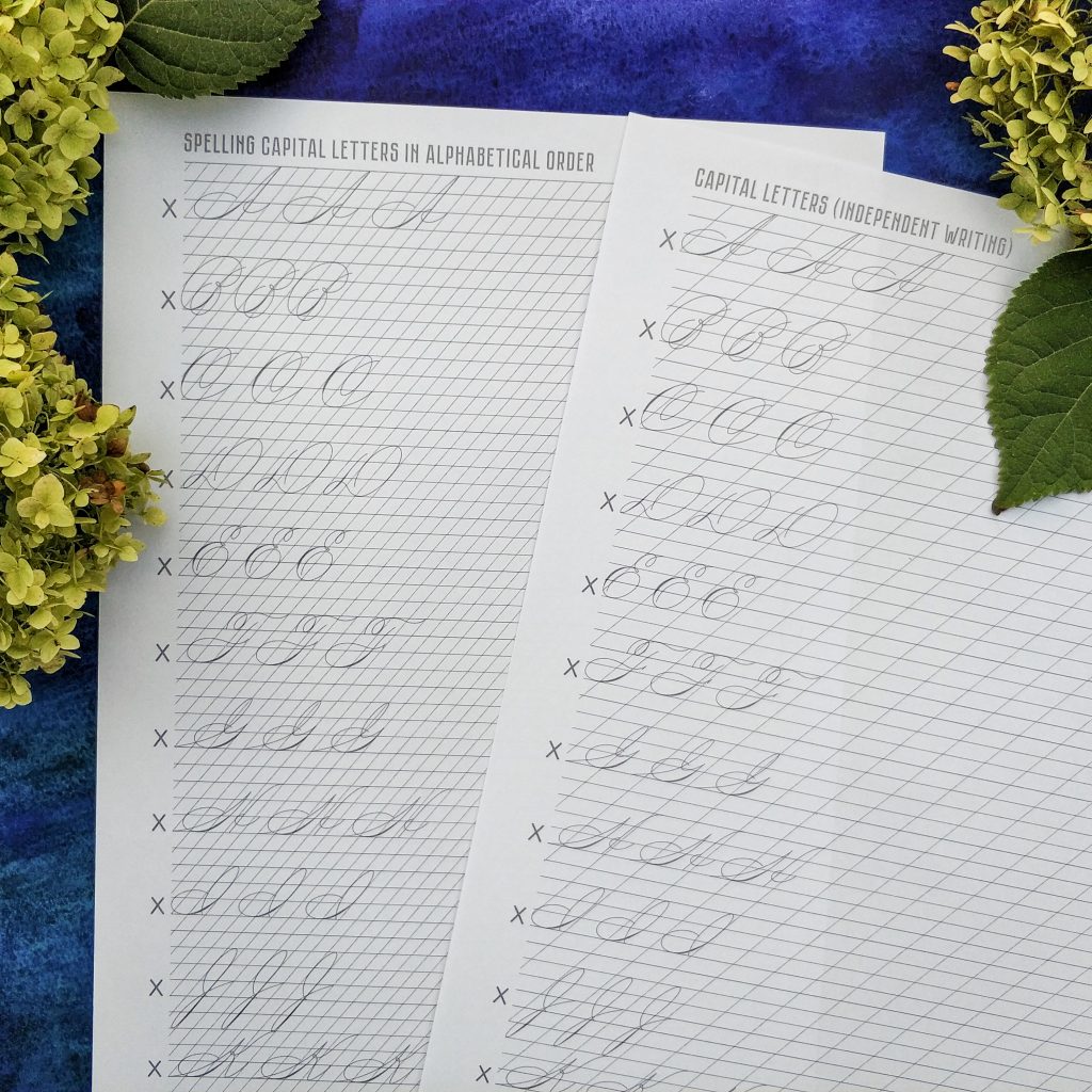 Spencerian Capital letters for Beginners 5mm - Crealandia