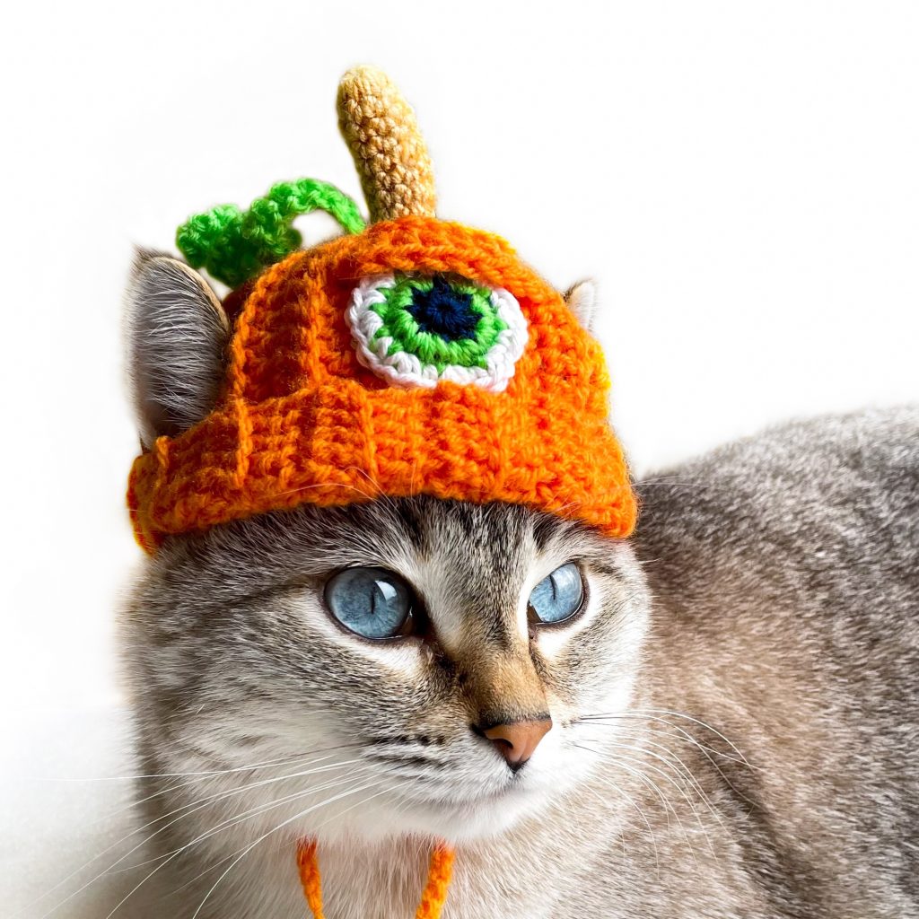 Halloween cat hat. Pumpkin cat hat. Crochet pattern