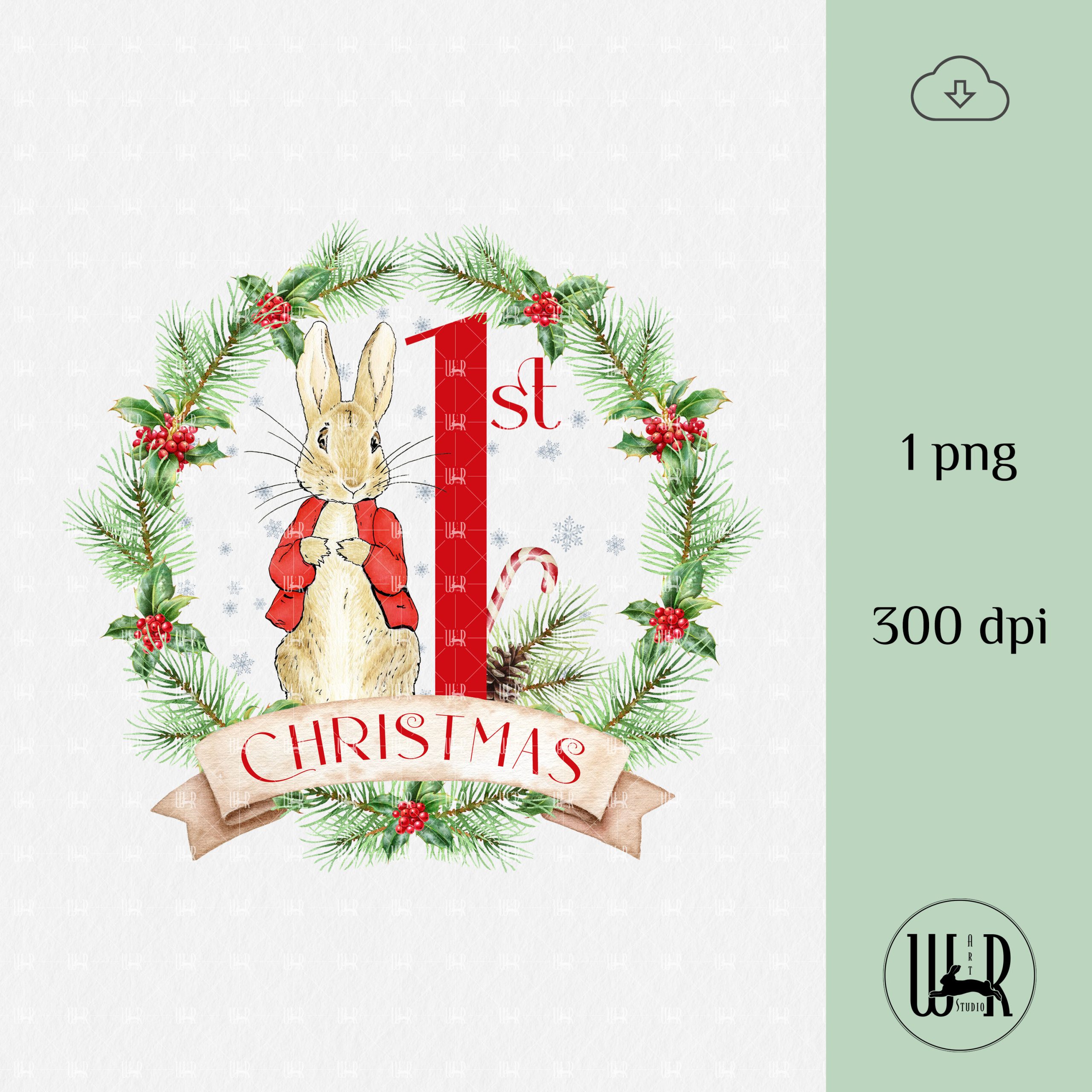 Peter Rabbit Red Jacket | Baby’s First Christmas PNG w0019