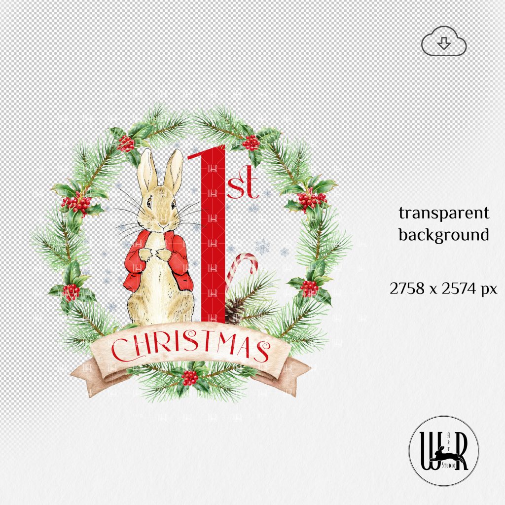 Peter Rabbit Red Jacket | Baby’s First Christmas PNG w0019