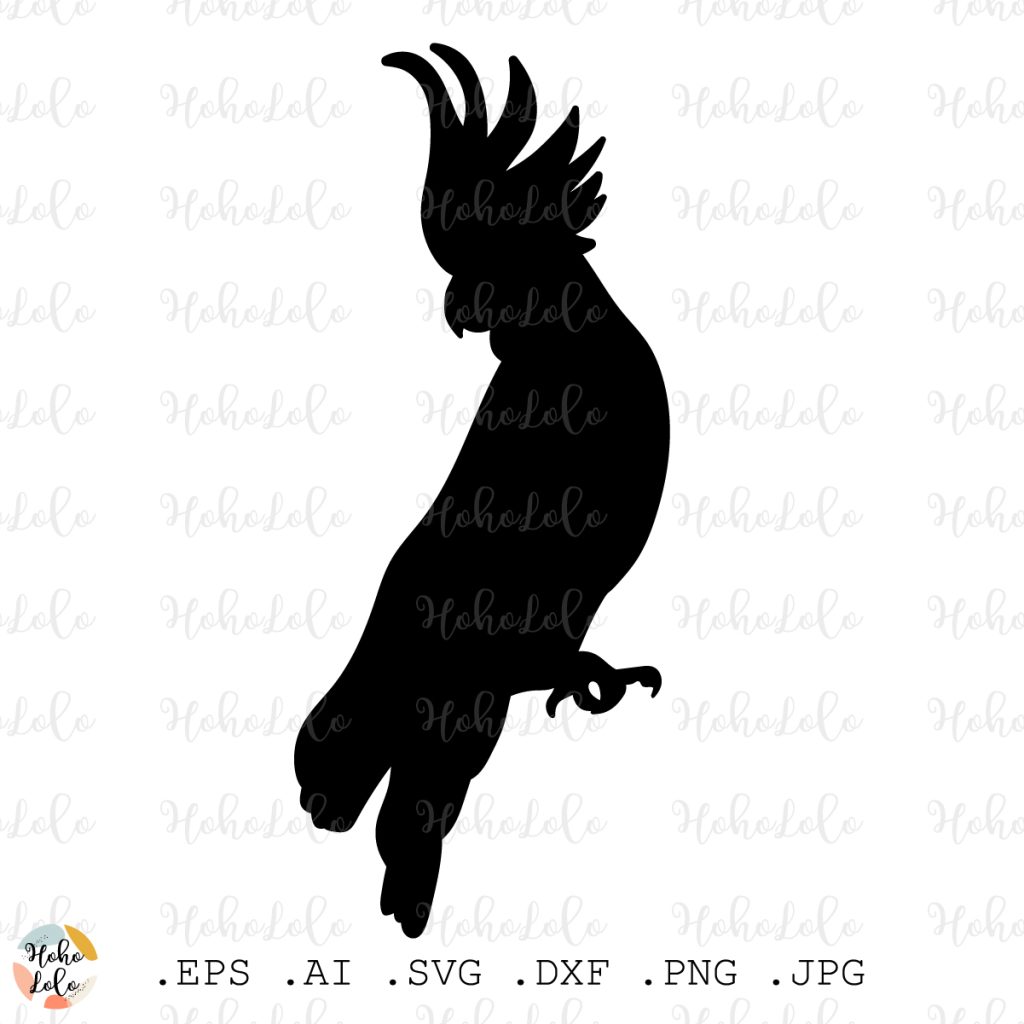 Parrot Svg Silhouette Cricut files Stencil Dxf Clipart