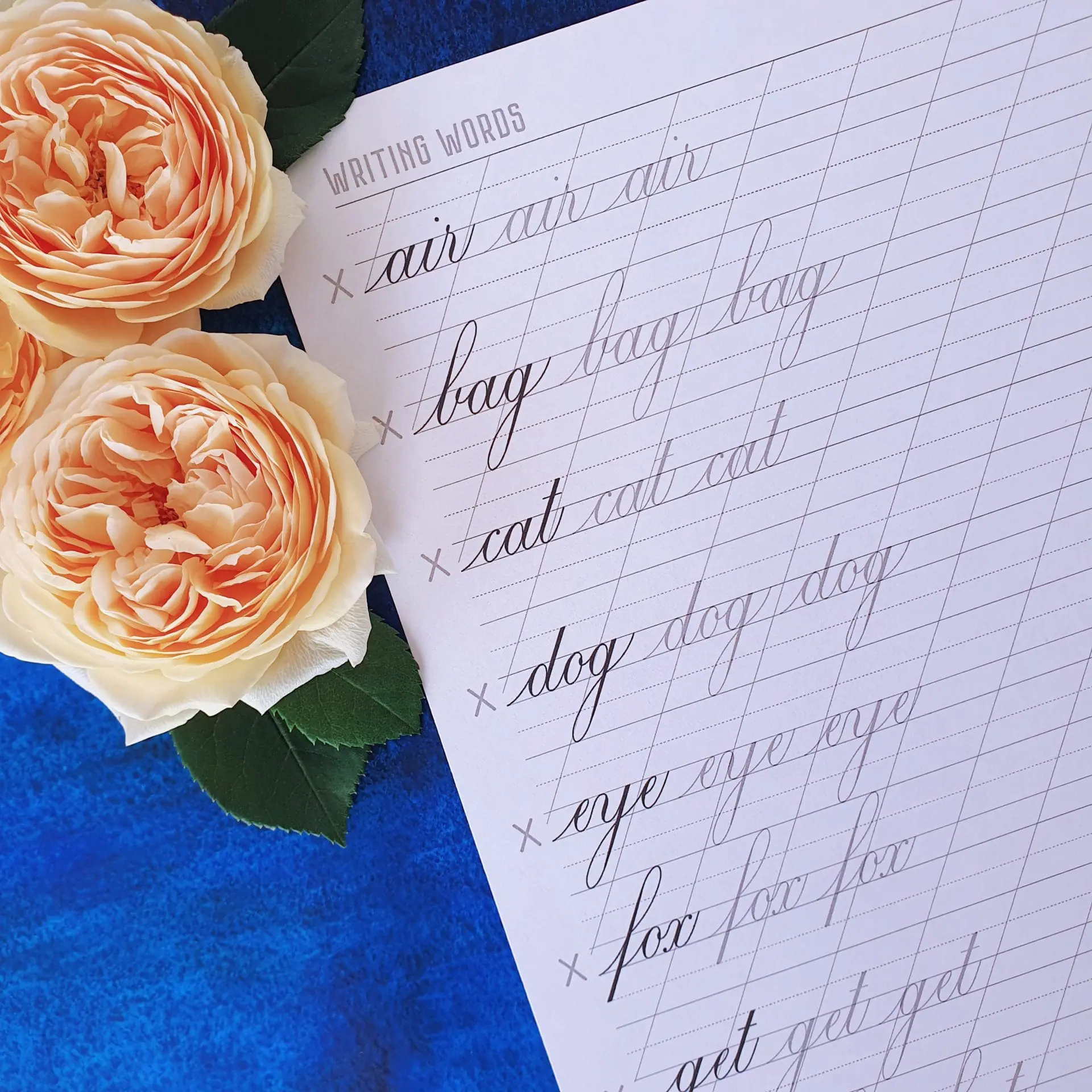 Copperplate calligraphy 2.0 Connecting letters and Writing words ...